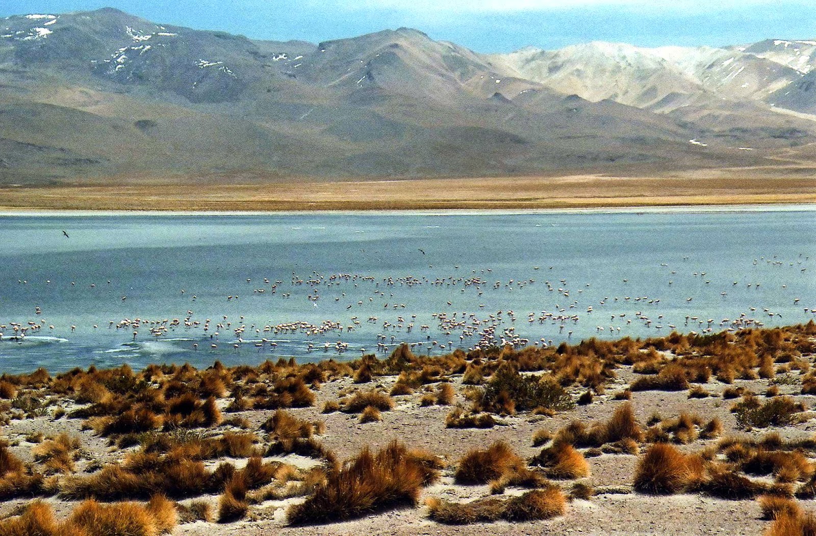 CERCANORTE: El Lejano Oeste, El Toro, Rosario de Coyaguayma, Vilama ...