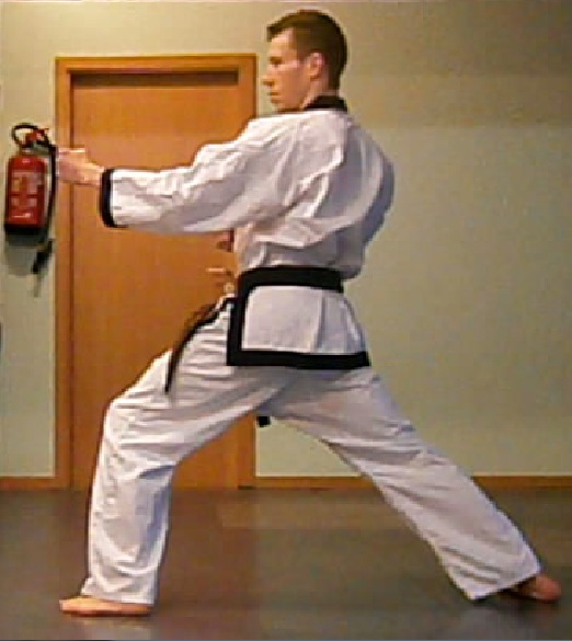 OLYMPIC KARATE SPORT CLUB - Sport Karate, Tang Soo Do