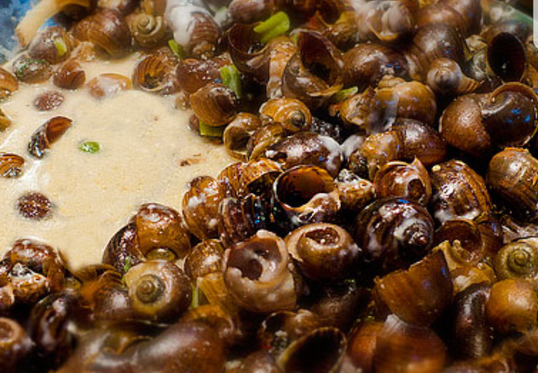 Exotic Foods in the Philippine (Would You Care for a Bite?)