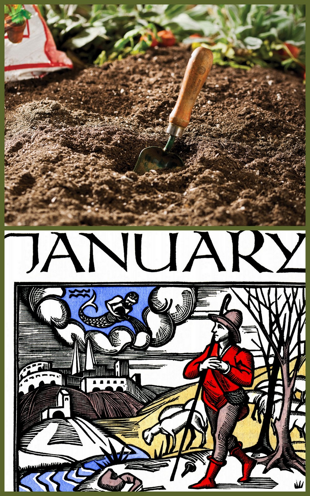Notes from Maggie's Farm: tips for tuesday in the garden: january