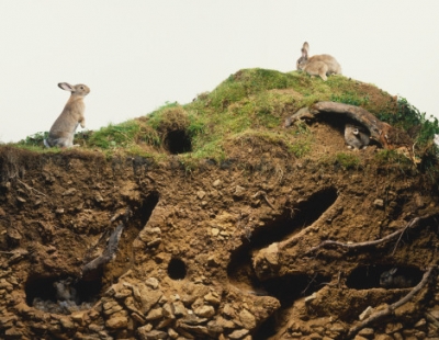 Geomorfología