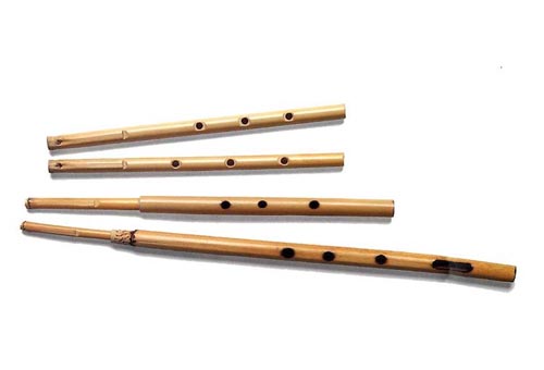 Servizio Civile Unpli Sardegna: Organologia degli Strumenti sardi