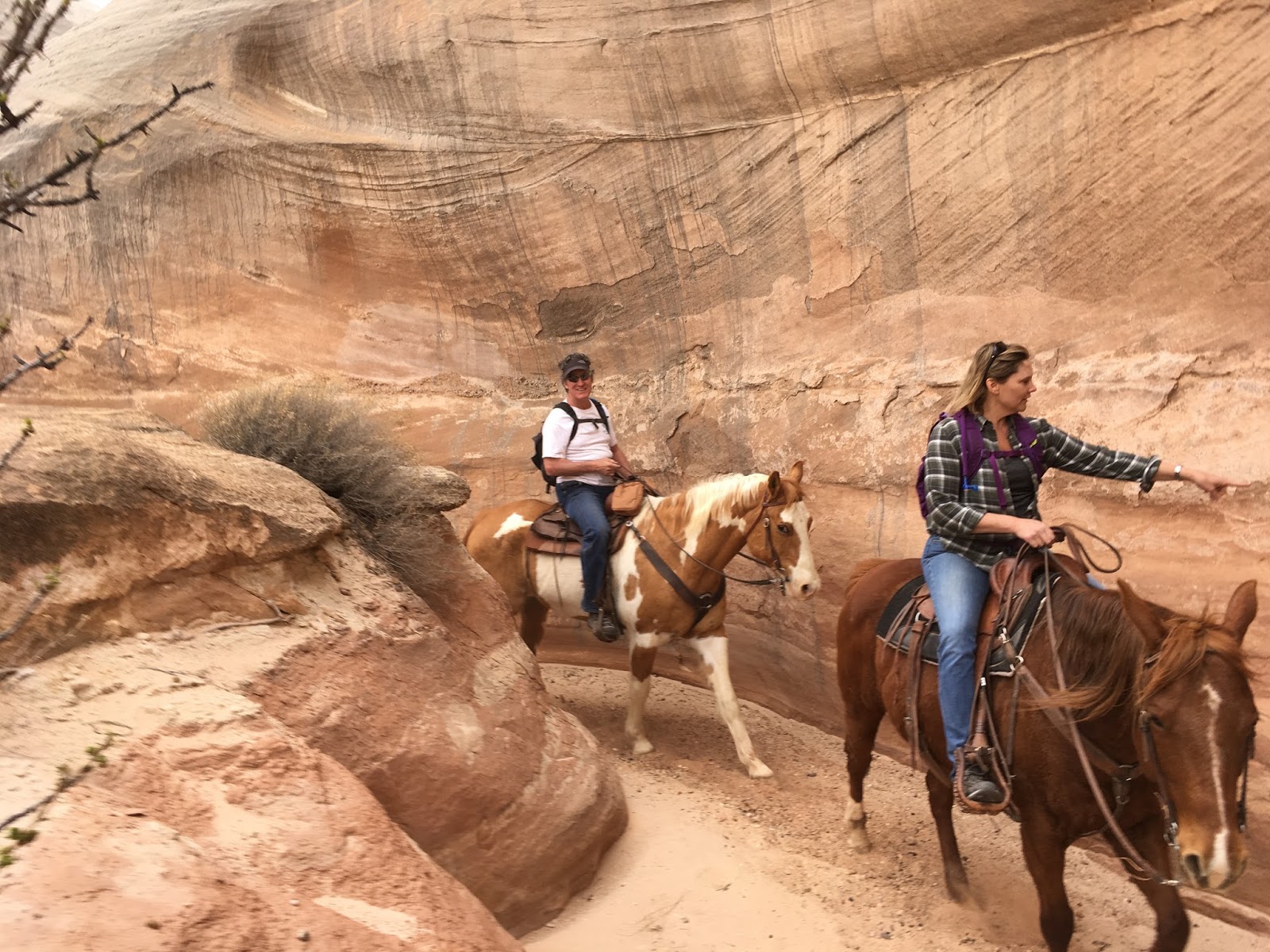 Camping and Horses : PARIA RIVER RANCH SOUTHERN UTAH