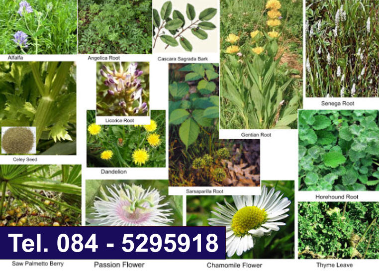 Matol KM : เครื่องดื่มสมุนไพรมาทอล: อยากสวย อยากหล่อ สุขภาพไม่ดี ...