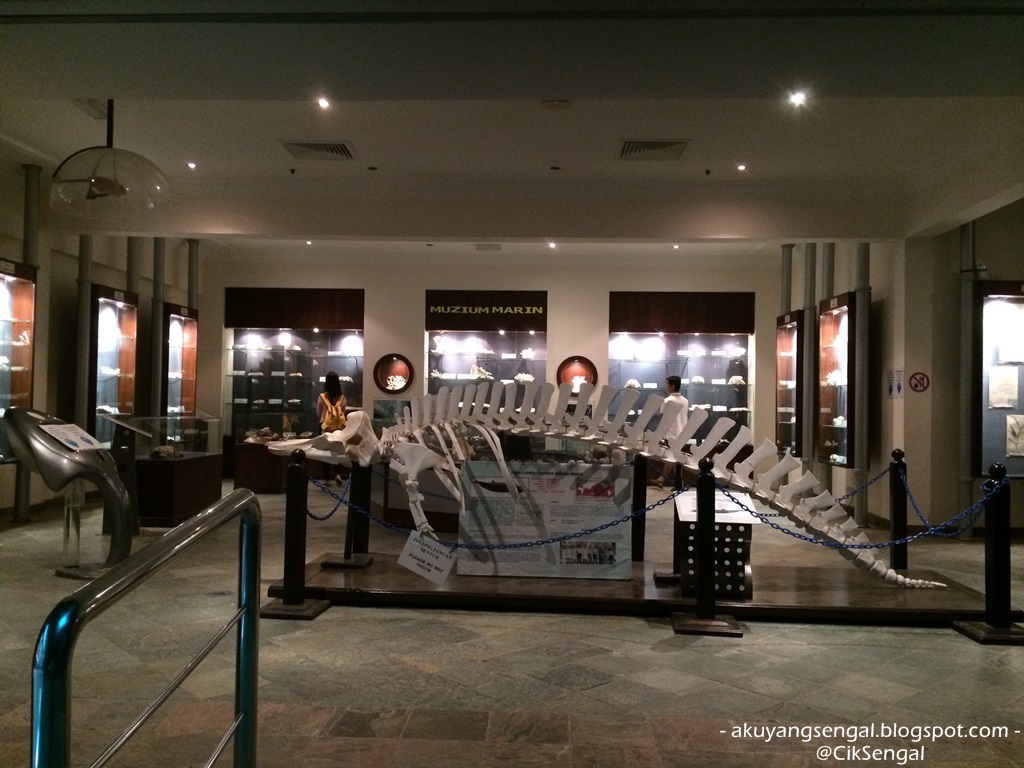 Aquaria UMS ~ Aku Yang Sengal