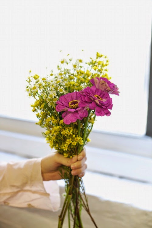 flowers a-z: w is for wax flower|http://refreshrose.blogspot.com/