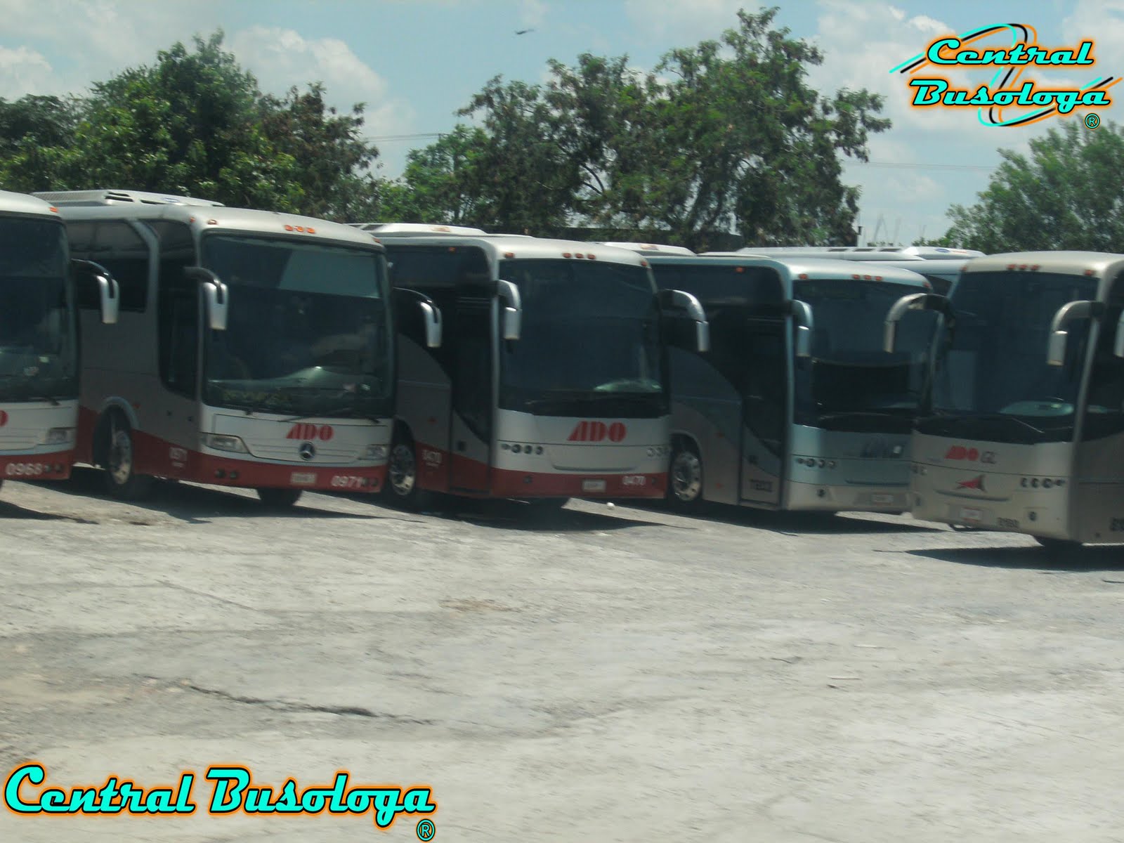 o.OCentral BusologaO.o°•: Terminal ADO.