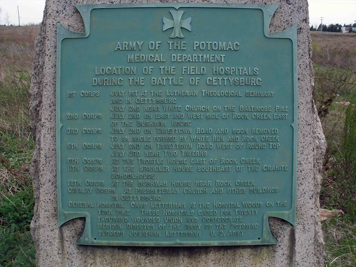 Southern Greens: The Family Spy