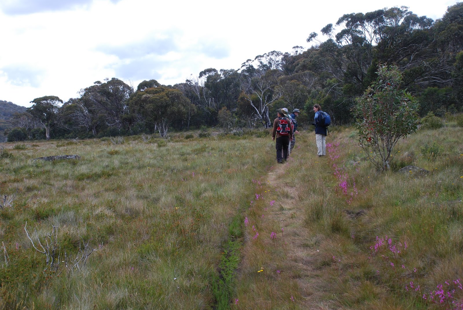 walkabouters club of victoria inc: Walkabouter's Summer Camp, 2011.