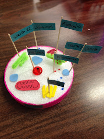One Teacher's Adventures: Grade 8 Animal Cell Models