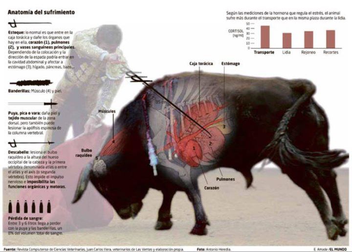REN: Resistencia Natural (REN): El Fin de la tauromaquia está cada vez ...