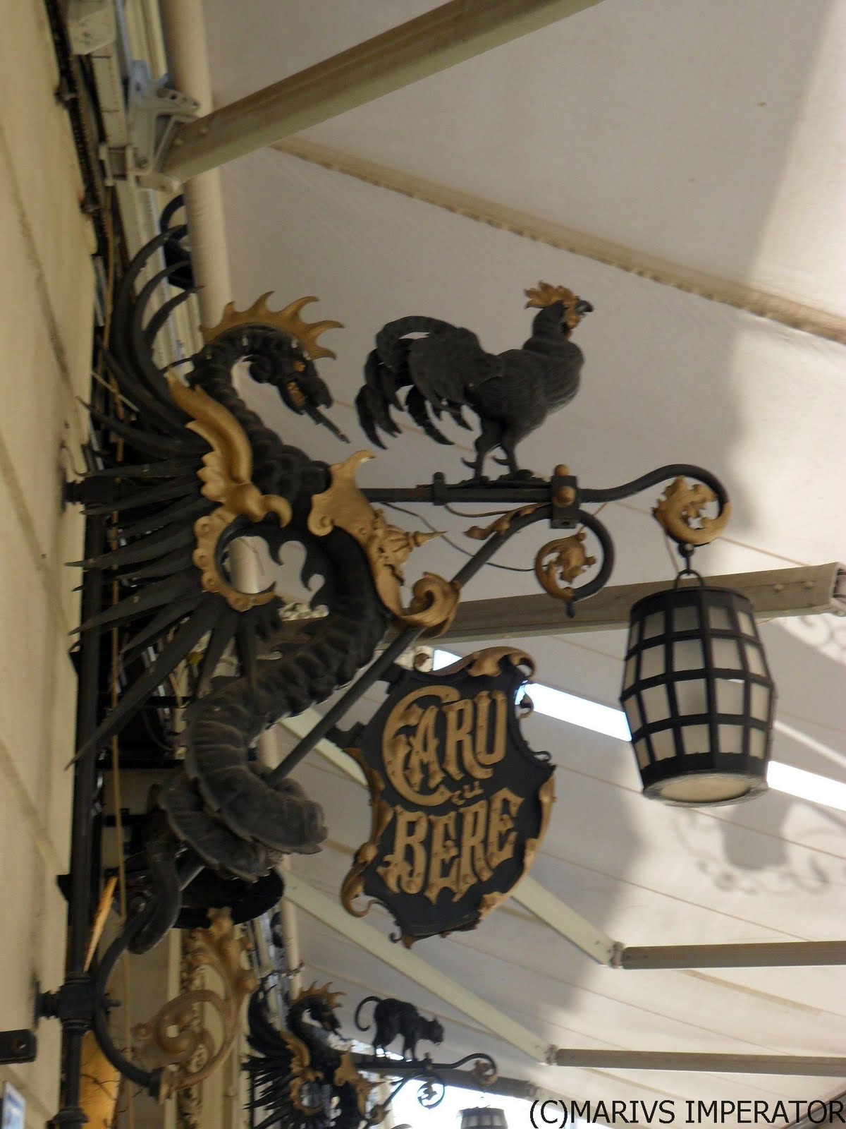 Balauri in Bucuresti!