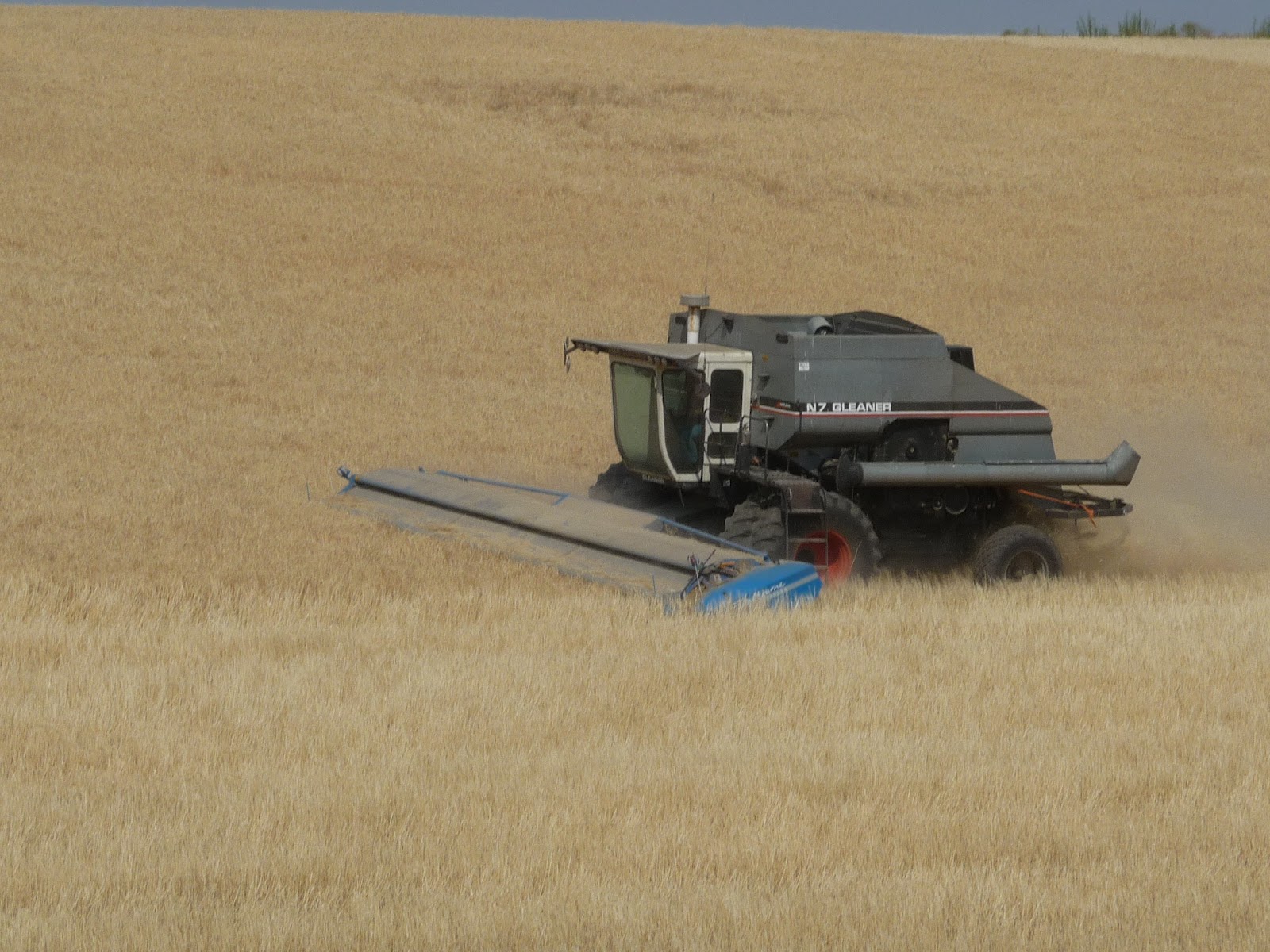 FARMING THE PALOUSE: Shelbourne Stripper Header