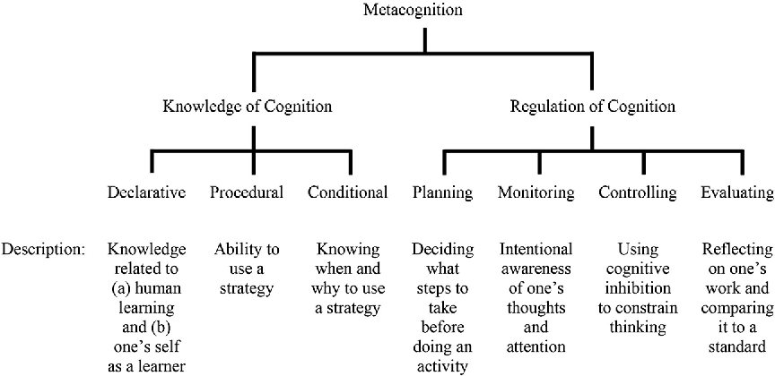 EXAMS AND ME : Metacognition