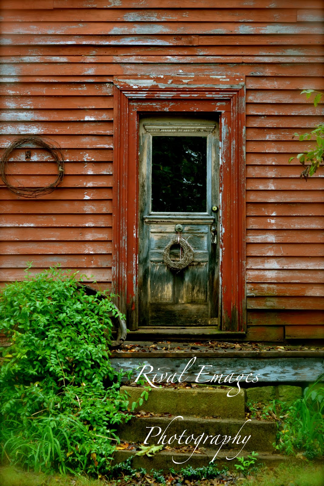 Journey of a Photographer