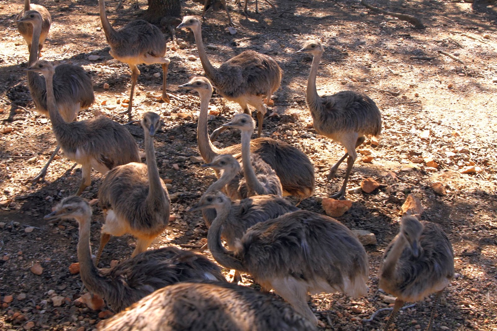 Back Road Whispers: November 2013