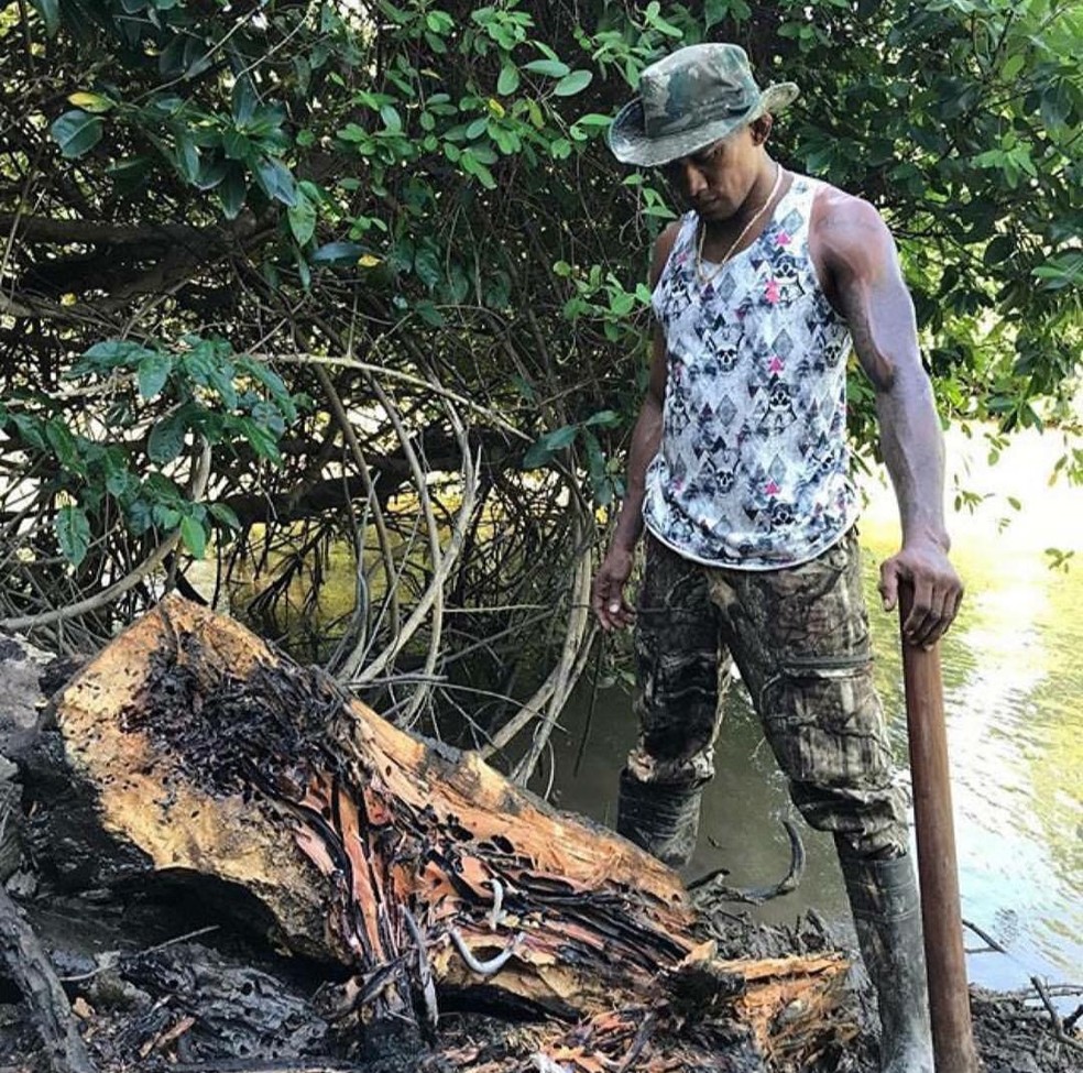 Bornal: CONHEÇA O TURU, MOLUSCO QUE SERVE DE ALIMENTO AFRODISÍACO NO ...
