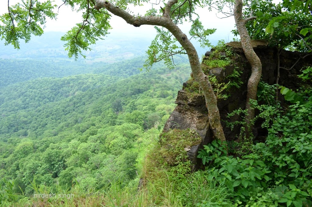 Just Tripping!: Narnala Fort - The Satpura Surprise