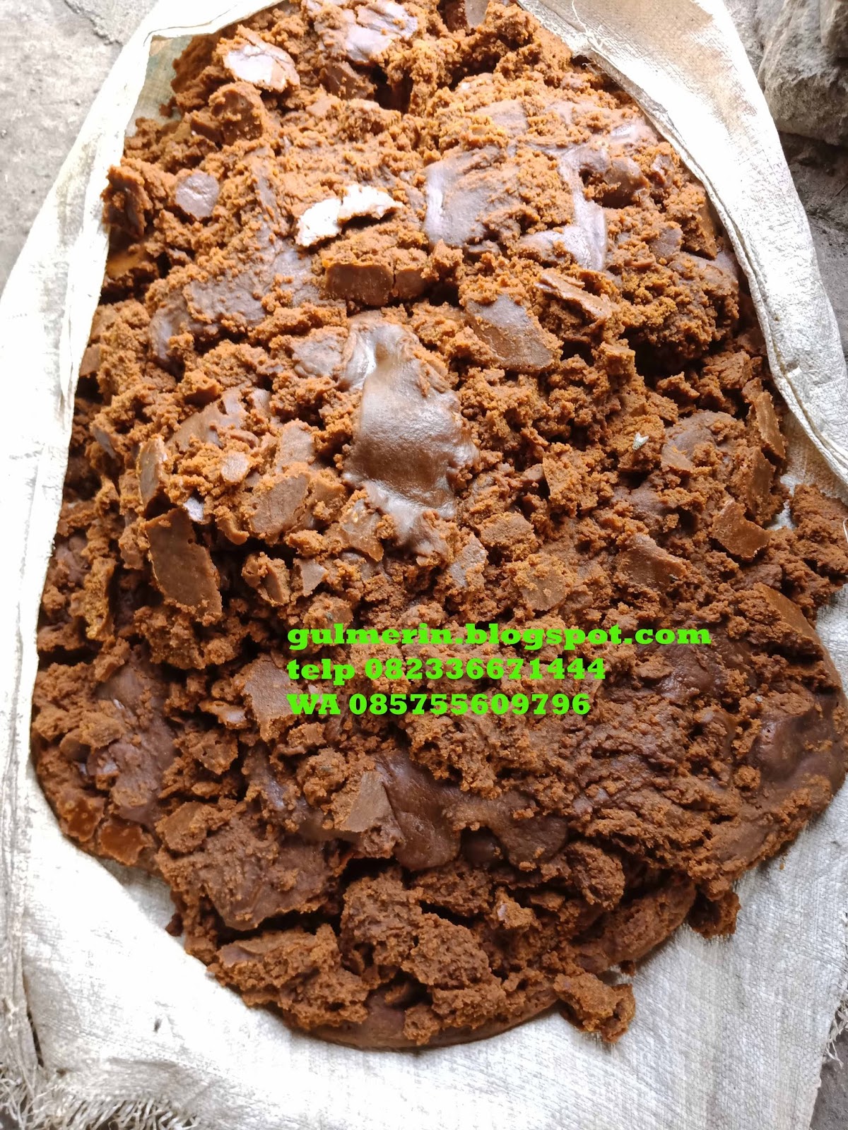 GULA MERAH INDONESIA: GULA MERAH TEBU GARUK SEMUT