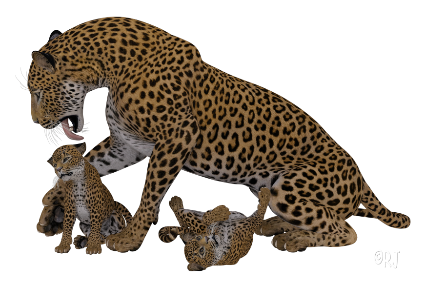 Rjs Bits Bobs Props And Pieces Leopard Mama