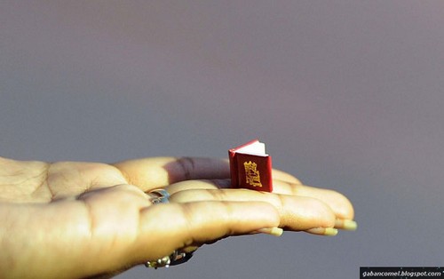 Buku Resepi Paling Kecil di Dunia - Gaban Comel