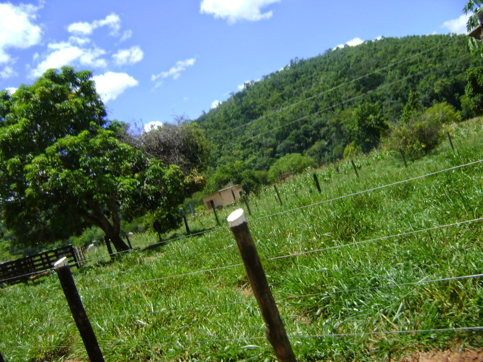 Imagens Rurais: Paisagens Rurais cachoeiras e belos lugares