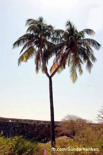 The Heaven on Earth konkan photos