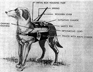 Famous Dogs in History: Anti-Tank Dogs: Sent on Suicide Missions