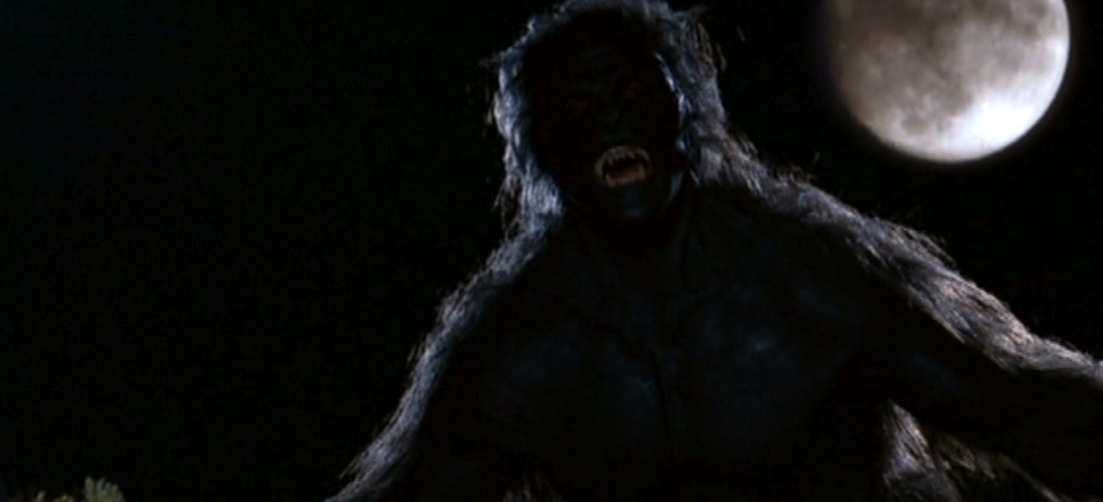 HORROR FOREVER: RODZINNA KLĄTWA / DARK MOON RISING (2009)