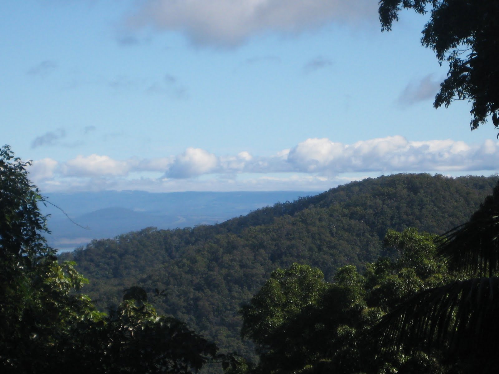 Bushwalking in Brisbane Forest Park (D'Aguilar): September 2004