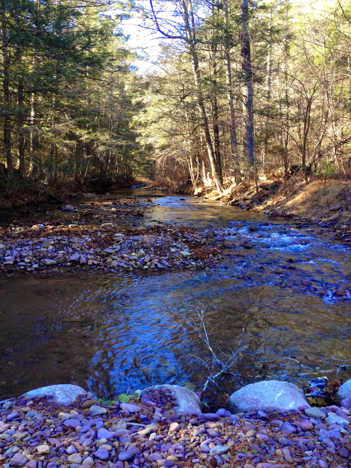 Adventures Afield: A DAY OF EXPLORING THE BROOK TROUT STREAMS