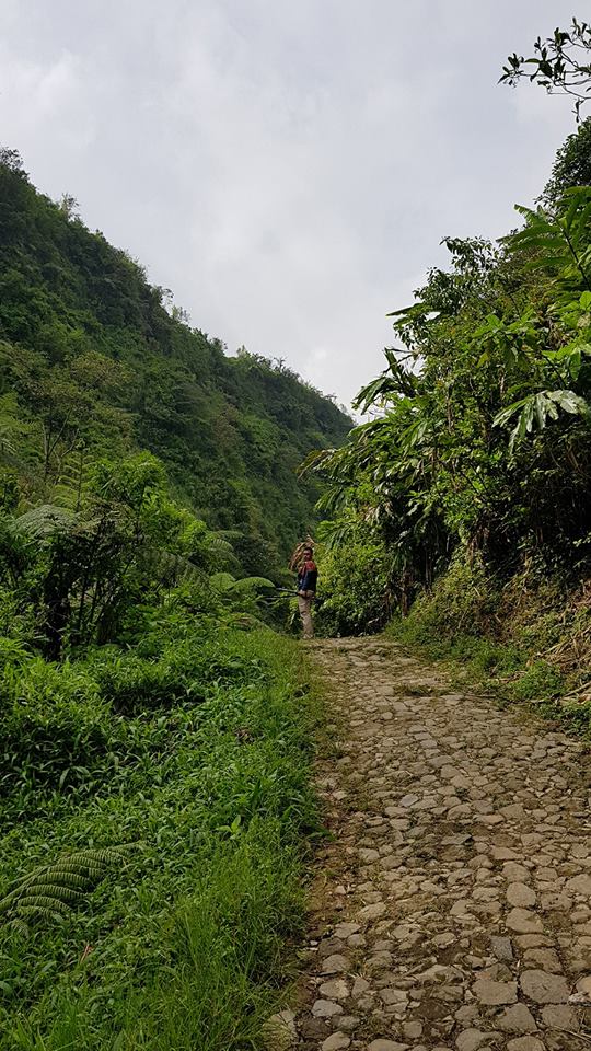 Liburan tahun baru di Kebun Raya Cibodas, Mengunjungi Curug Cibogo dan ...