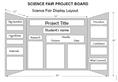 Mr. Villa's Science Stars!: Science Fair Project