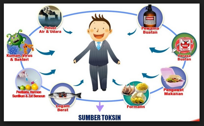 1) Toksin dari udara