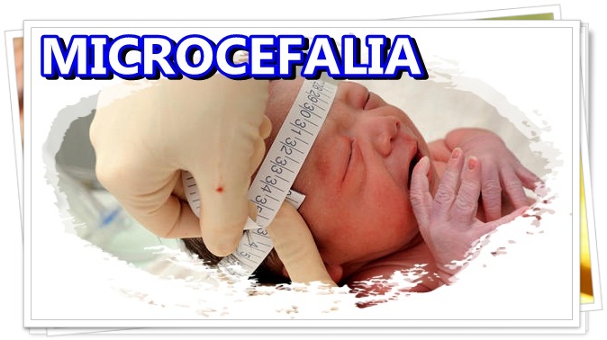SAÚDE DA FAMÍLIA BRASILEIRA: Aprendendo um pouco mais sobre microcefalia