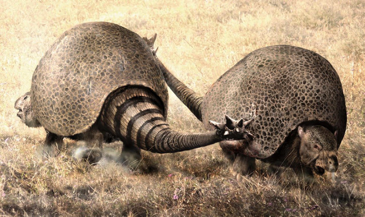 The Magic cafe: Исчезнувшая Южная Америка Велизара Симеоновски. Часть ...