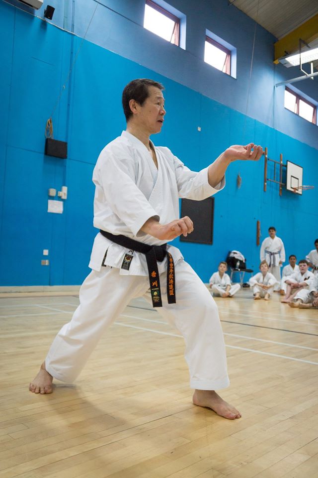Haxby Shotokan Karate Club: JKS England Technical Seminar with Kagawa ...