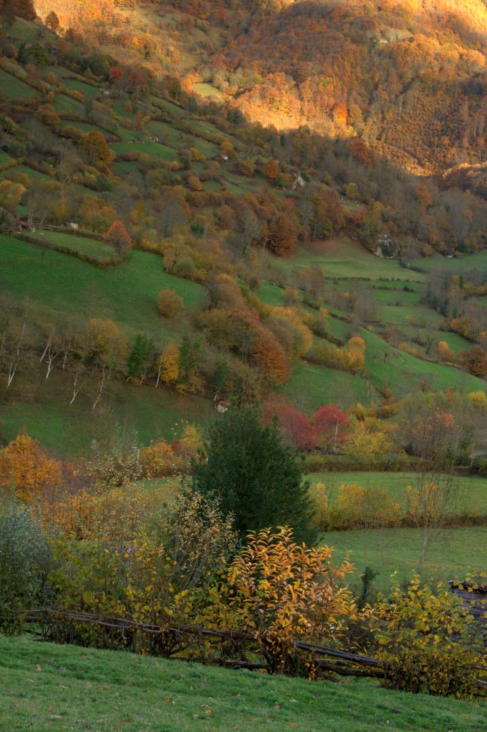 naturaleza en asturias: Para que no olvidemos Caliao