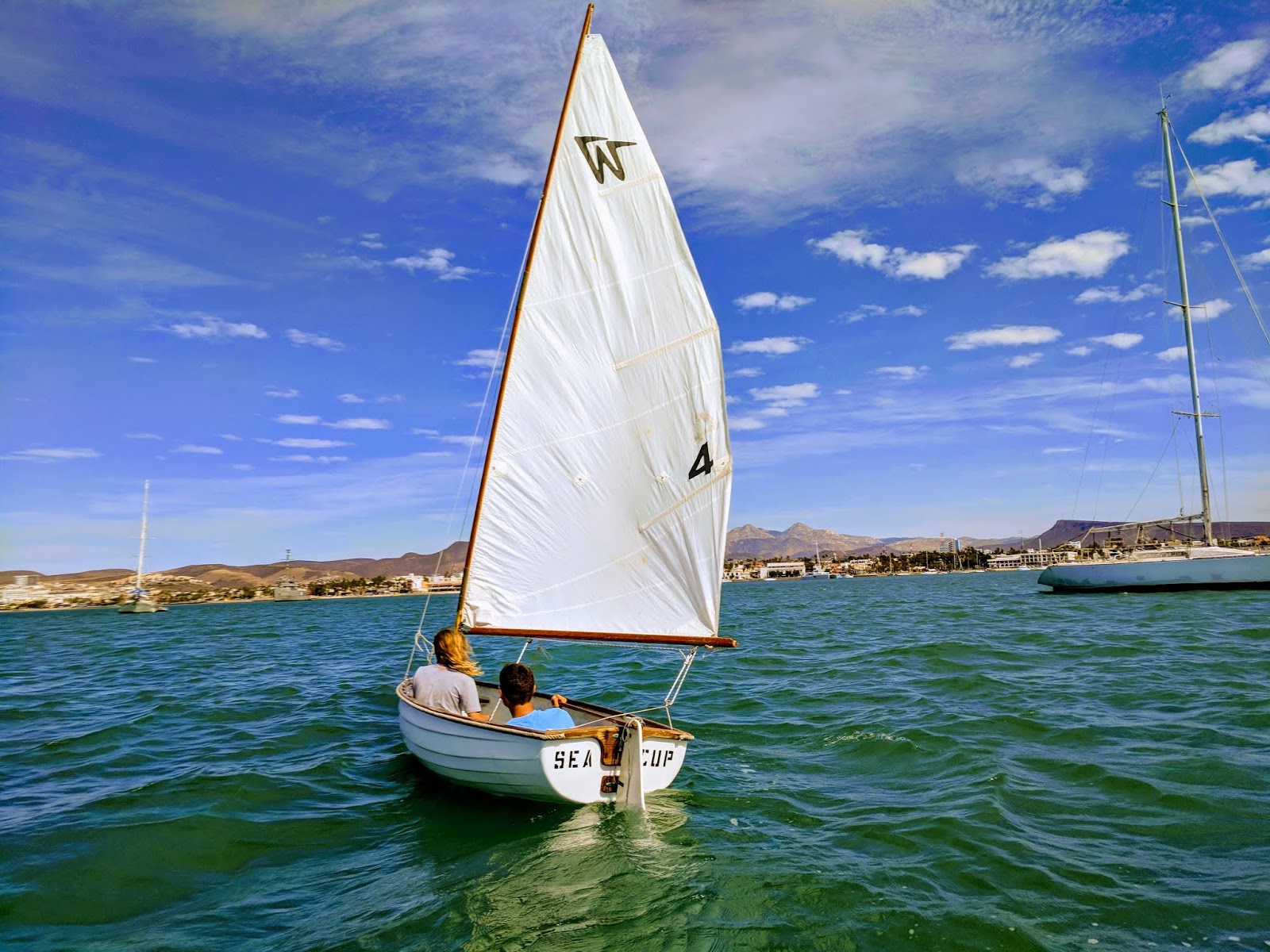 Our New Addition - Sea Cup!