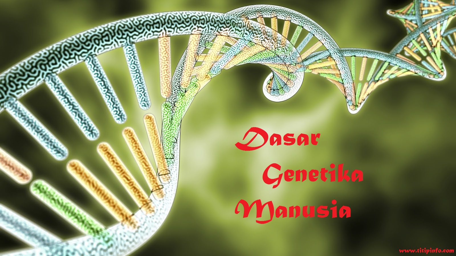 Dasar Dasar Genetika Manusia - Webtekno