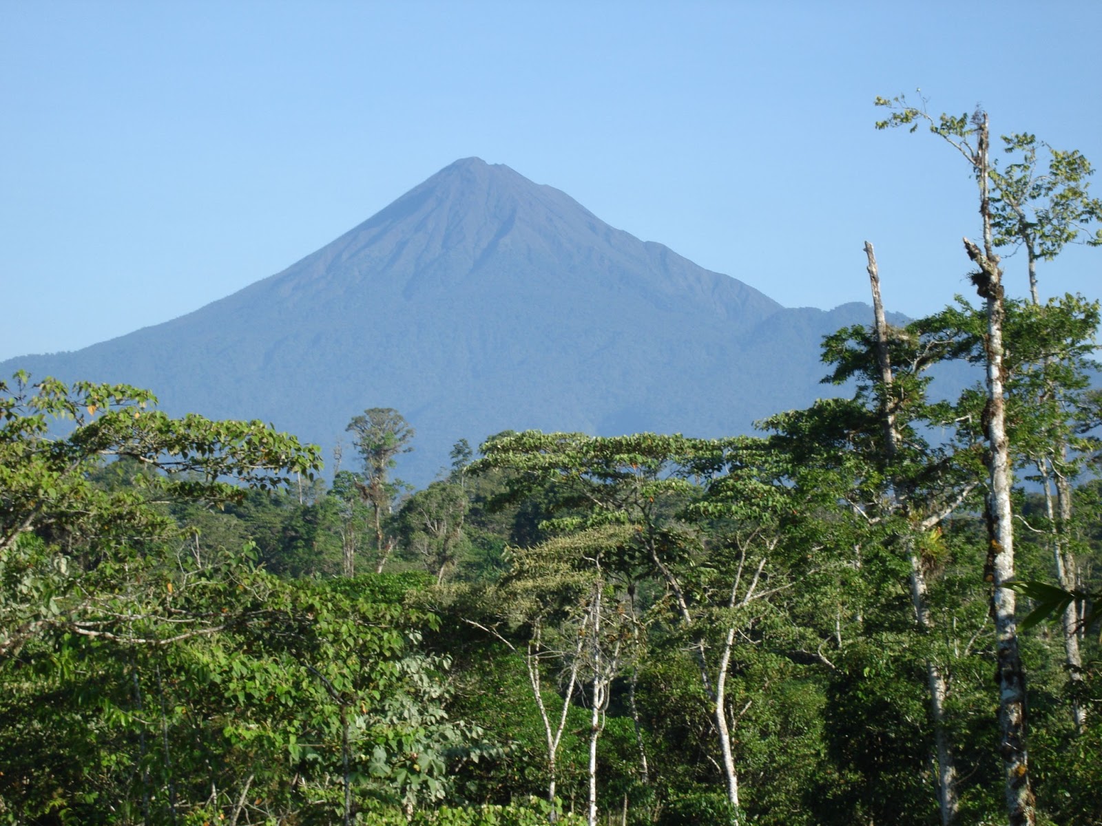 Ecuador: My Moveable Feast...