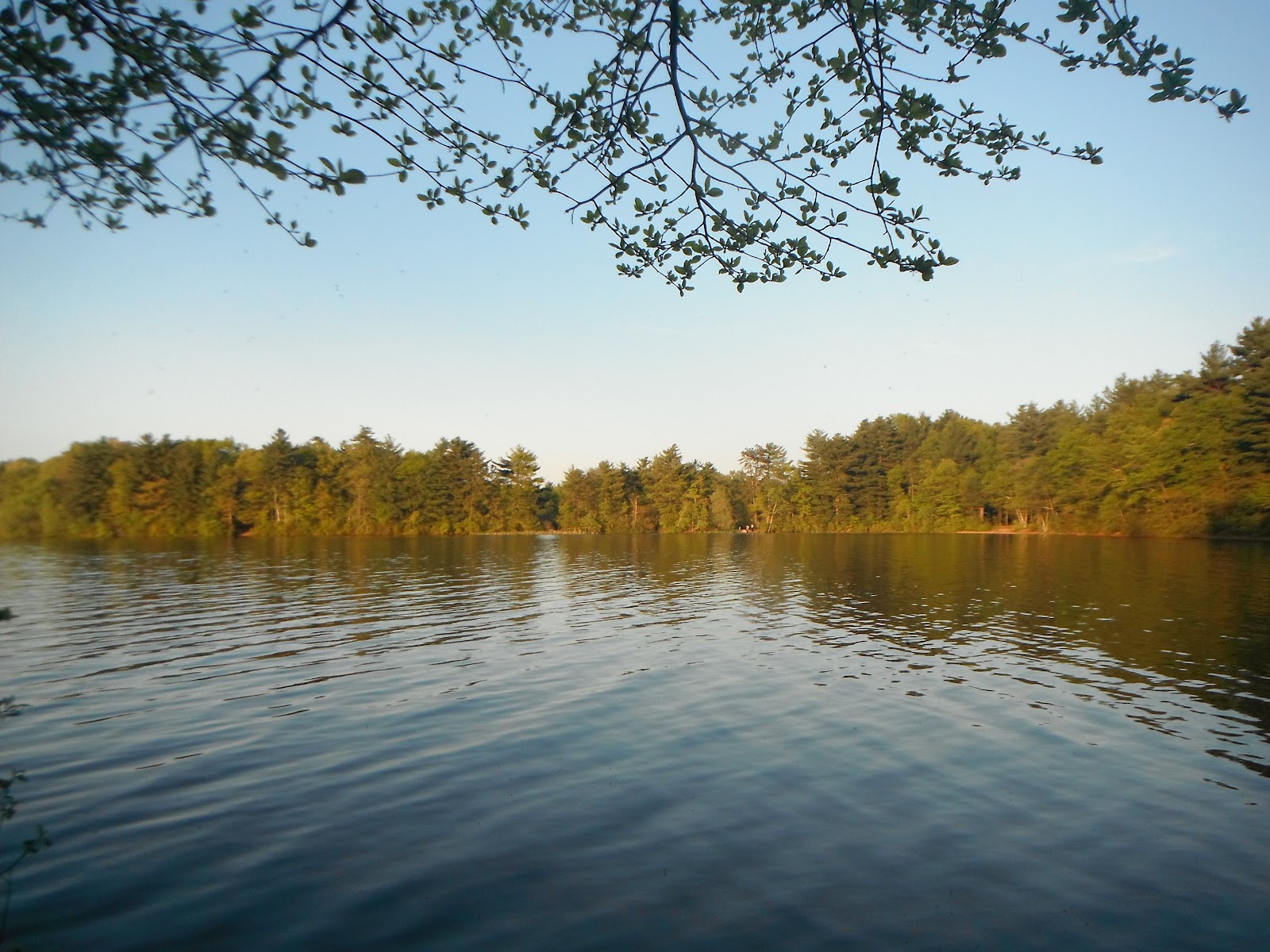 Exploring Massachusetts: May 12th 2012: Biking at Adams Farm, Walpole