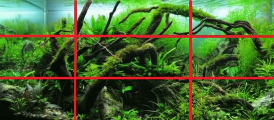 Gaya Natural Aquascape