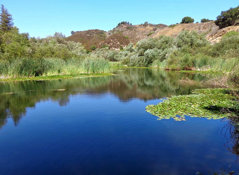 The Great Silence: The Planet of the Apes Village (Malibu Creek State Park)