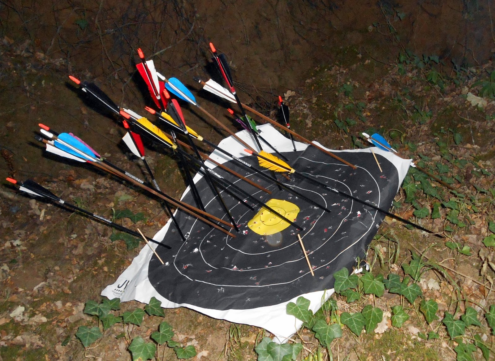 ΕΛΛΗΝΙΚΗ ΕΦΙΠΠΗ ΤΟΞΟΒΟΛΙΑ