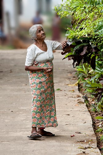 Sakyadhita: Awakening Buddhist Women: “We must get back to the real ...