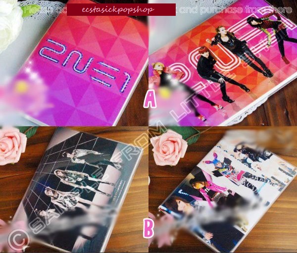 Shopping Kpop Stuffs Here!: 2NE1 Merchandise