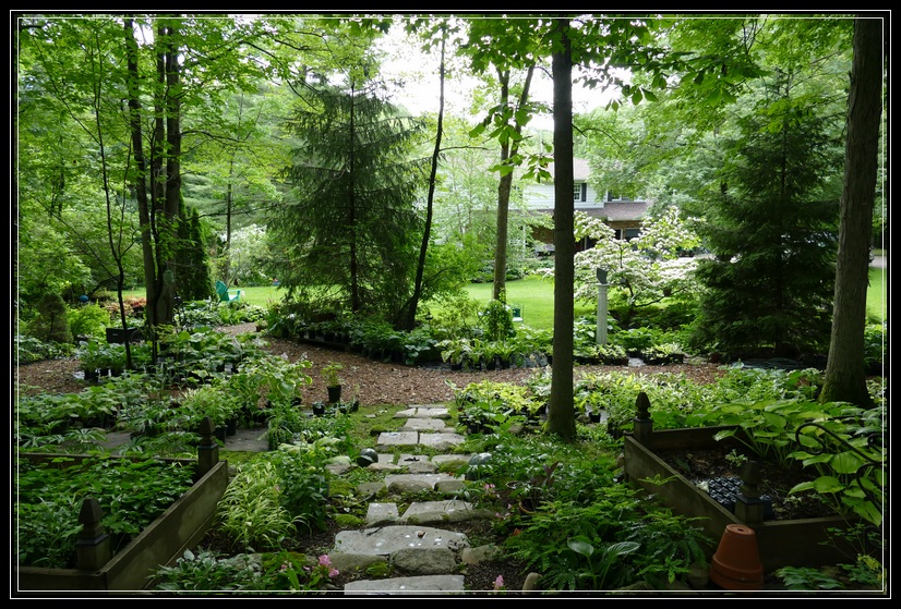 Inspiration for Your Garden and Medicine for Your Soul at Shades of ...