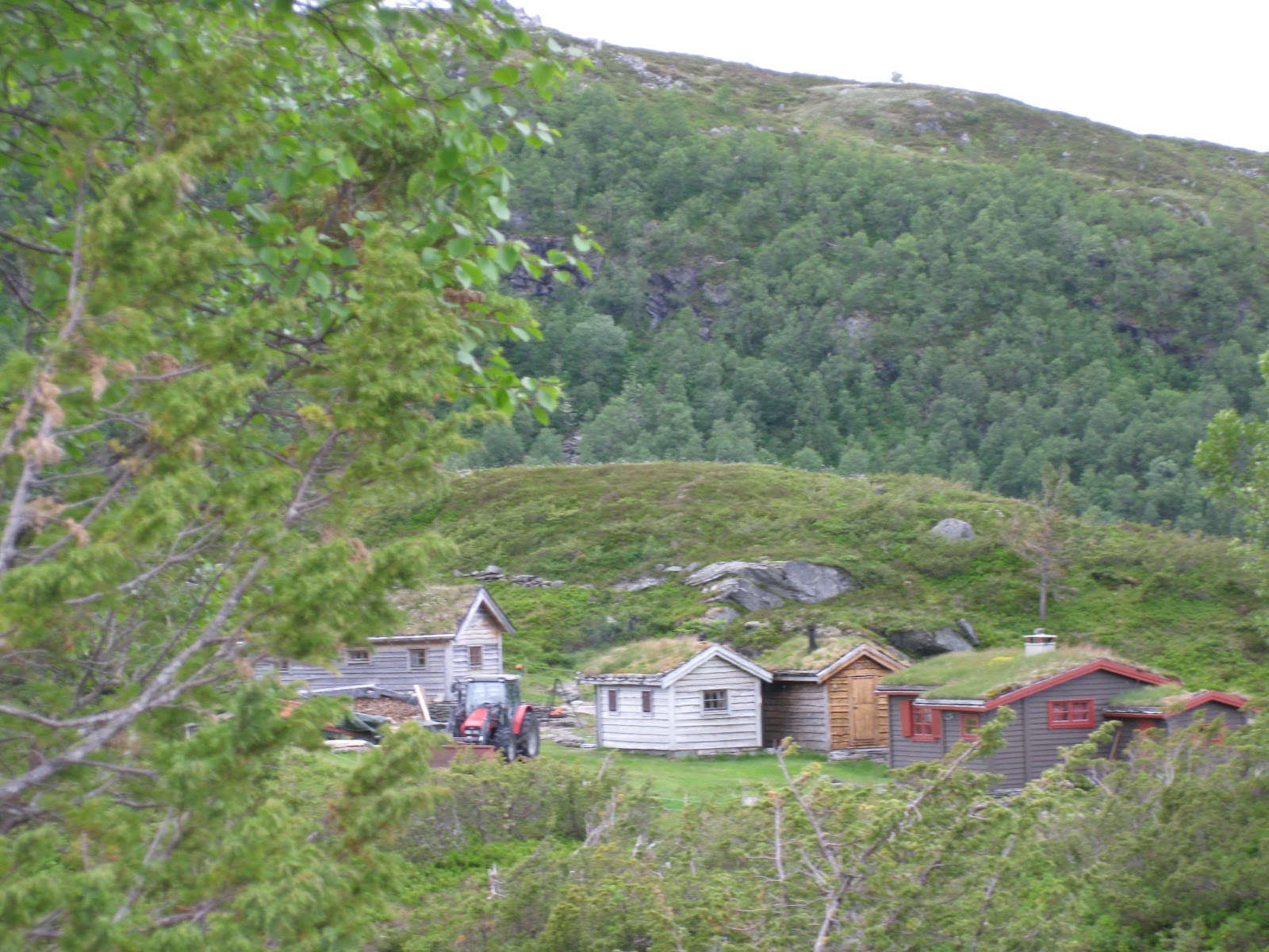 Liv Janne sin tur- og fjellblogg: Smådalsnipa (937 moh) i Naustdal