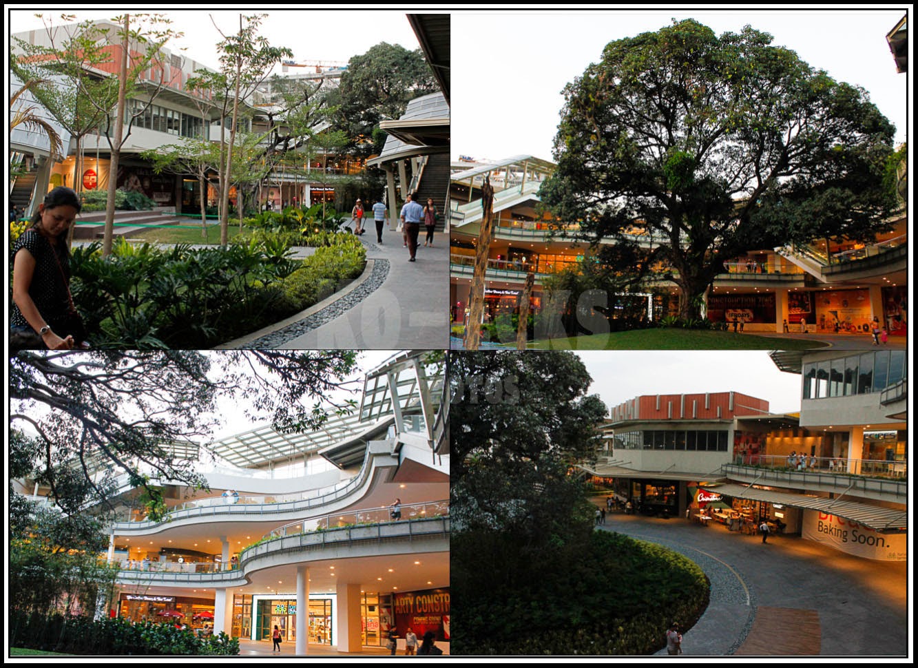 Kiroku Tensha Eriko: The Ayala Fairview Terraces - The Follow-up Review